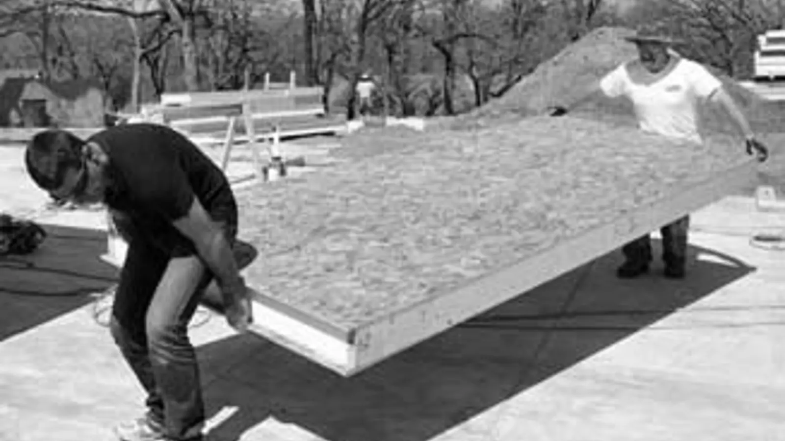 Structural Insulated Panels SIPs RAYCORE vs Sandwich Panels